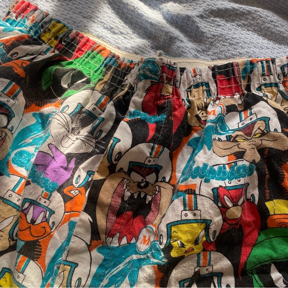 Vintage Dolphins Looney Tunes Mens Boxers 1993 Tm War… - Gem